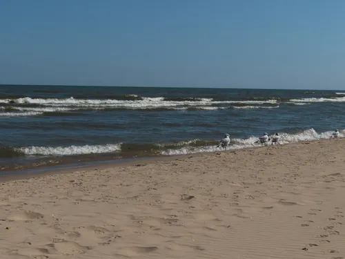 2023 Best Beach Trails in Two Rivers | AllTrails