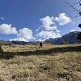 Sutton/Neosho Mine Trail, Colorado - 348 Reviews, Map | AllTrails