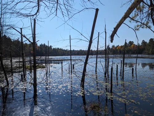 2023 Best Beach Trails in Bon Echo Provincial Park | AllTrails