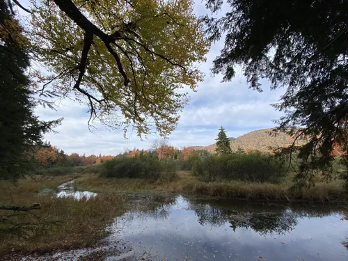 Best 10 Hikes and Trails in Jessup River Wild Forest | AllTrails