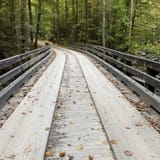 Tremont Logging History Auto Tour, Tennessee - 162 Reviews, Map | AllTrails