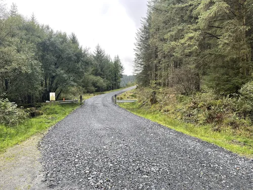 10 Best Trails, Walks, and Paths in Machynlleth | AllTrails