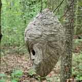 Red Byrd Arch, Kentucky - 265 Reviews, Map | AllTrails