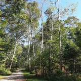 Fort Foster and Kittery Point Shore Trail, Maine - 626 Reviews, Map ...