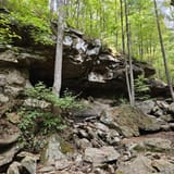 Emory Gap Falls Trail, Tennessee - 788 Reviews, Map | AllTrails