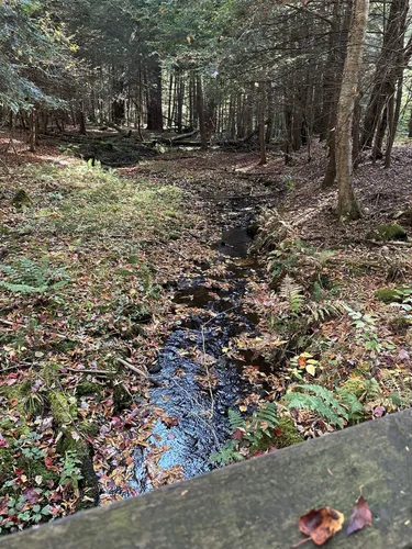 Best Hikes and Trails in Gilbert Lake State Park | AllTrails