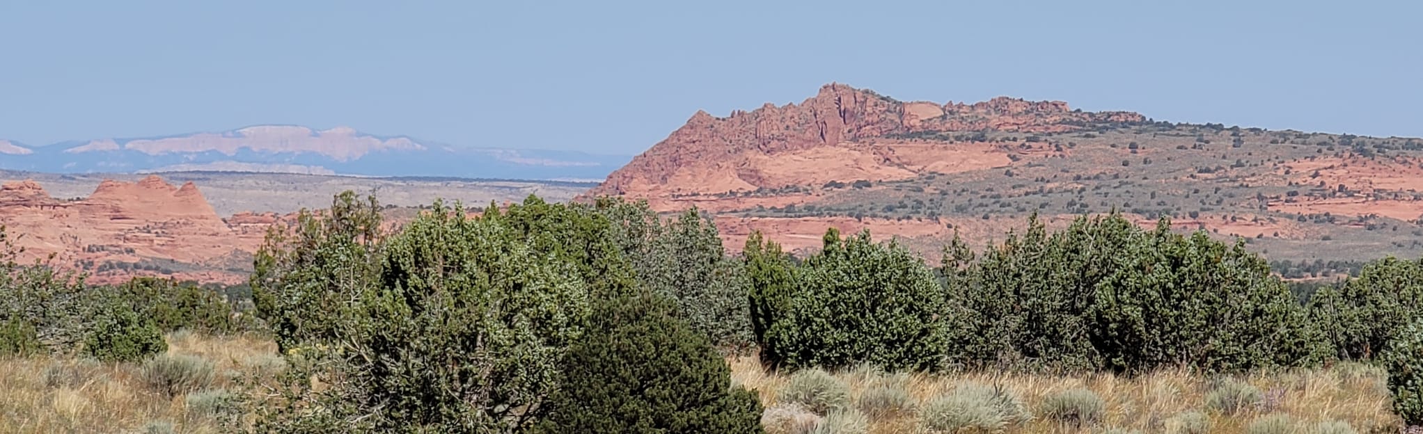 Coyote Buttes South via Pine Tree Road, Arizona - 55 Reviews, Map ...