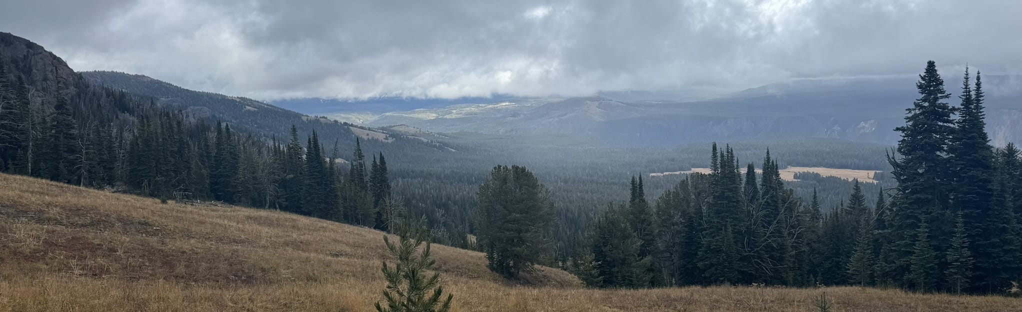 Dunraven Pass to Mount Washburn, Montana - 1,441 Reviews, Map | AllTrails