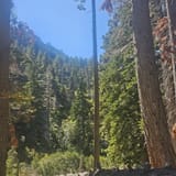 Eagle Falls Vista Point Loop, California - 1,339 Reviews, Map | AllTrails