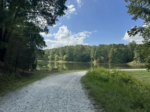 10 Best Hikes and Trails in William B. Umstead State Park | AllTrails