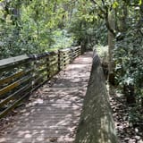 Oak Tree Nature Park Trail, Florida - 193 Reviews, Map | AllTrails