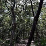 Oak Tree Nature Park Trail, Florida - 193 Reviews, Map | AllTrails