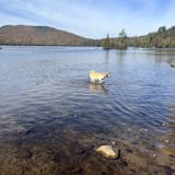 McKenzie Pond via McKenzie Pond Rd, New York - 410 Reviews, Map | AllTrails