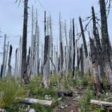 Barrett Spur via Vista Ridge and Wy'east Basin Trail, Oregon - 146 ...