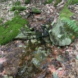 Barrett Spur via Vista Ridge and Wy'east Basin Trail, Oregon - 146 ...