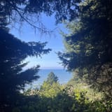 Cook's Ridge and Gwynn Creek Loop, Oregon - 738 Reviews, Map | AllTrails