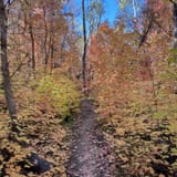 Armstrong Trail to Dawns Trail Loop, Utah - 2,524 Reviews, Map | AllTrails