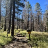 Lockett Meadow Inner Basin Loop, Arizona - 733 Reviews, Map | AllTrails