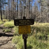 Lockett Meadow Inner Basin Loop, Arizona - 733 Reviews, Map | AllTrails
