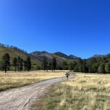 Lockett Meadow Inner Basin Loop, Arizona - 733 Reviews, Map | AllTrails