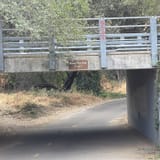 Johnny Cash, Folsom Lake, and American River Bike Loop, California ...