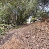 Johnny Cash, Folsom Lake, and American River Bike Loop, California ...