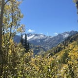 Desolation Lake via Mill D North Fork and Desolation Trail, Utah ...