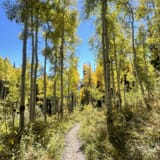 Desolation Lake via Mill D North Fork and Desolation Trail, Utah ...