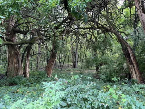 Best Hikes and Trails in Apollo Park | AllTrails