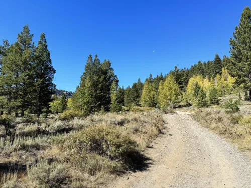 10 Best Off Road Driving Trails in Humboldt-Toiyabe National Forest ...