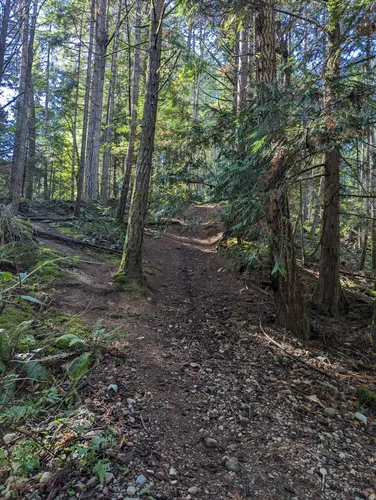 2023 Best Lake Trails in Lantzville | AllTrails
