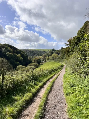 10 Best Kid Friendly Trails in Devon | AllTrails
