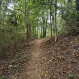 Fort Dickerson Quarry Trail, Tennessee - 343 Reviews, Map | AllTrails