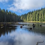 Lily and Lizard Lakes Loop Trail, Washington - 830 Reviews, Map | AllTrails
