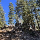 Crystal Mine Trail, California - 41 Reviews, Map | AllTrails