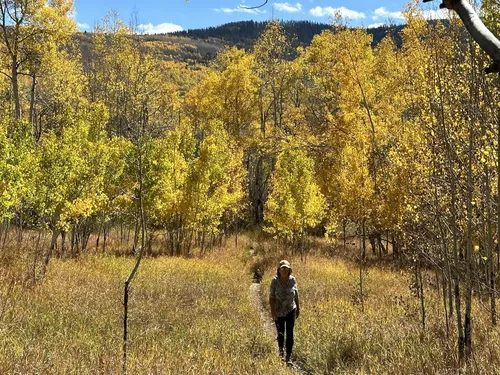 Best River Trails in Edwards | AllTrails