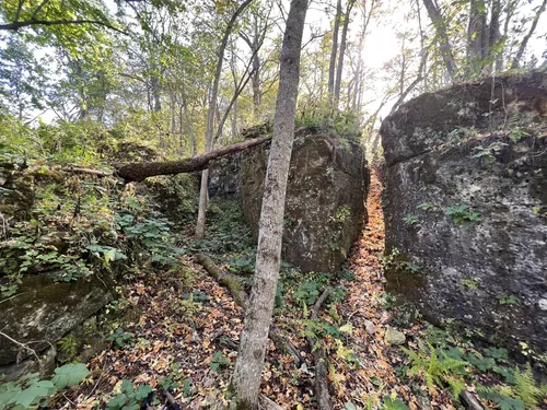 Best Hikes and Trails in White Pine Hollow State Forest | AllTrails
