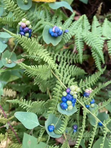 Best Hikes and Trails in Glacier Pools Preserve | AllTrails