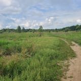 Puslinch Lake Loop, Ontario, Canada - 684 Reviews, Map | AllTrails