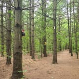 Puslinch Lake Loop, Ontario, Canada - 684 Reviews, Map | AllTrails