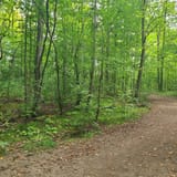 Puslinch Lake Loop, Ontario, Canada - 684 Reviews, Map | AllTrails