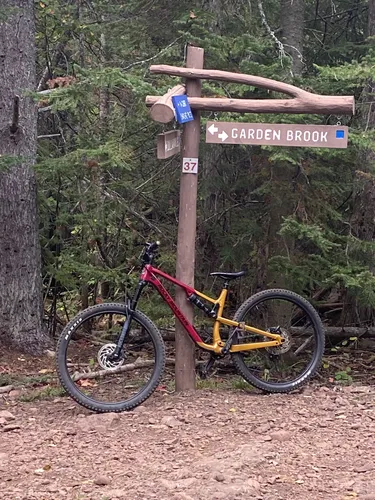 Best Moderate Trails in Copper Harbor Trail System | AllTrails