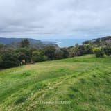 Mercer Bay Loop Track, Auckland, New Zealand - 473 Reviews, Map | AllTrails