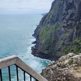 Mercer Bay Loop Track, Auckland, New Zealand - 473 Reviews, Map | AllTrails