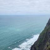 Mercer Bay Loop Track, Auckland, New Zealand - 473 Reviews, Map | AllTrails