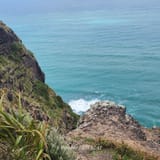 Mercer Bay Loop Track, Auckland, New Zealand - 473 Reviews, Map | AllTrails