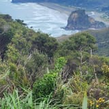 Mercer Bay Loop Track, Auckland, New Zealand - 473 Reviews, Map | AllTrails
