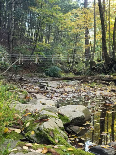 Best Hikes and Trails in Lost River State Park | AllTrails