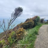 Mercer Bay Loop Track, Auckland, New Zealand - 473 Reviews, Map | AllTrails
