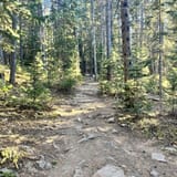 Boreas Pass, Colorado - 1,644 Reviews, Map | AllTrails